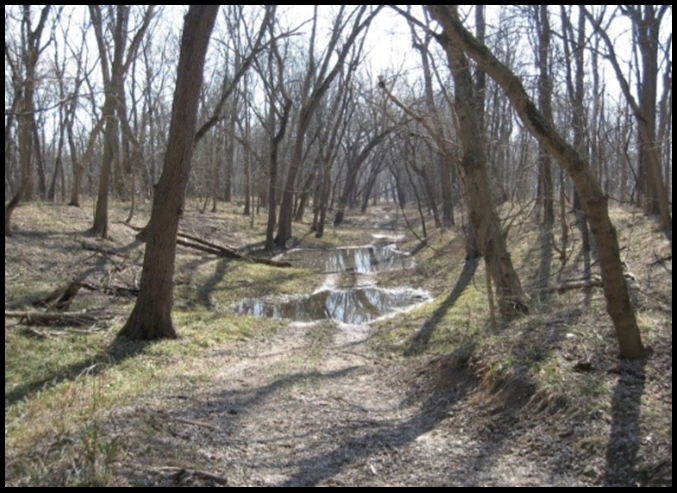 The Tumble July 2021 – Canal Society